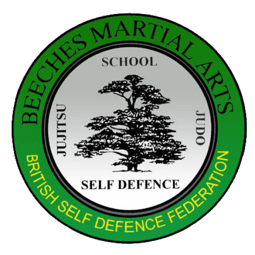 Origins, Timeline & History of Martial Arts | Beeches Martial Arts